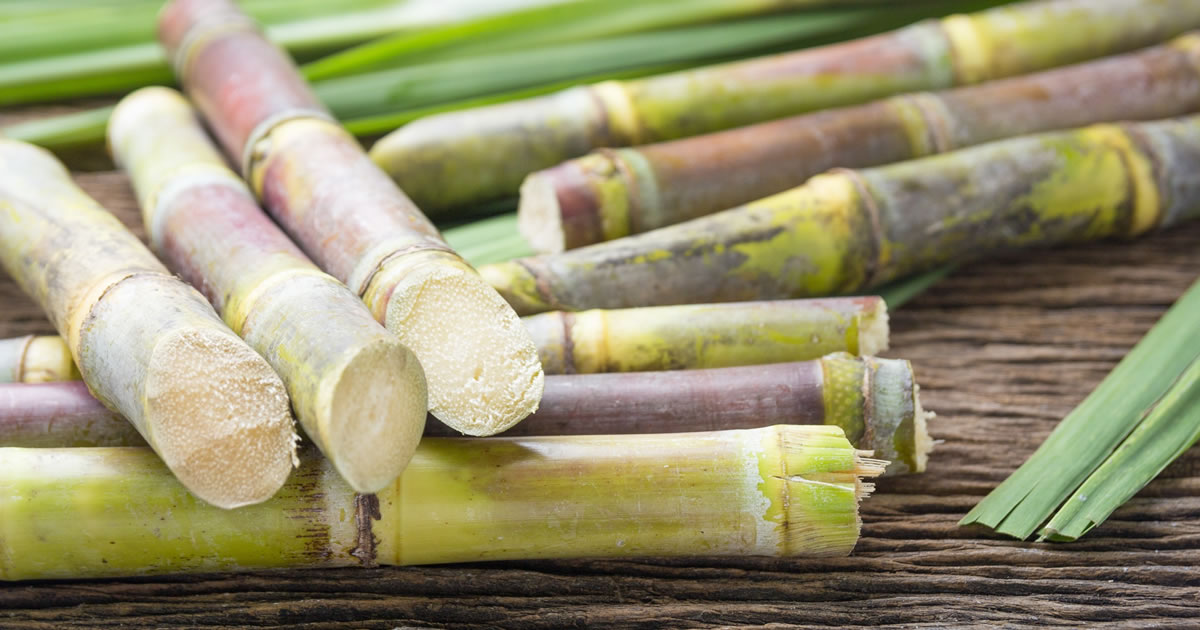 Ponencia. Industria Azucarera y sus Retos Postpandemia - UNICATÓLICA, Cali